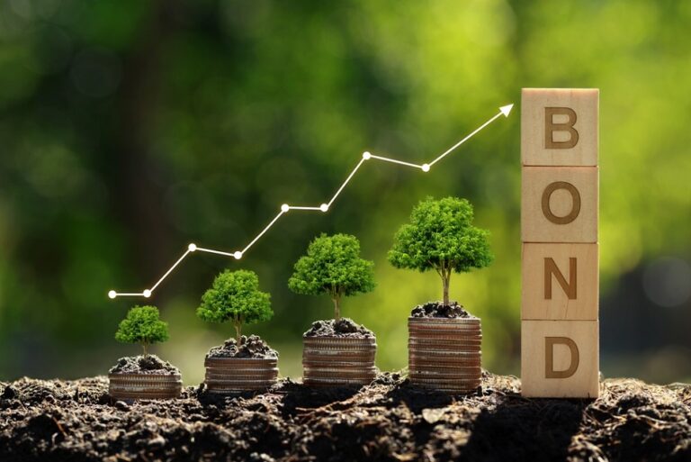 Bonds / NCD – wealthmartglobal.com